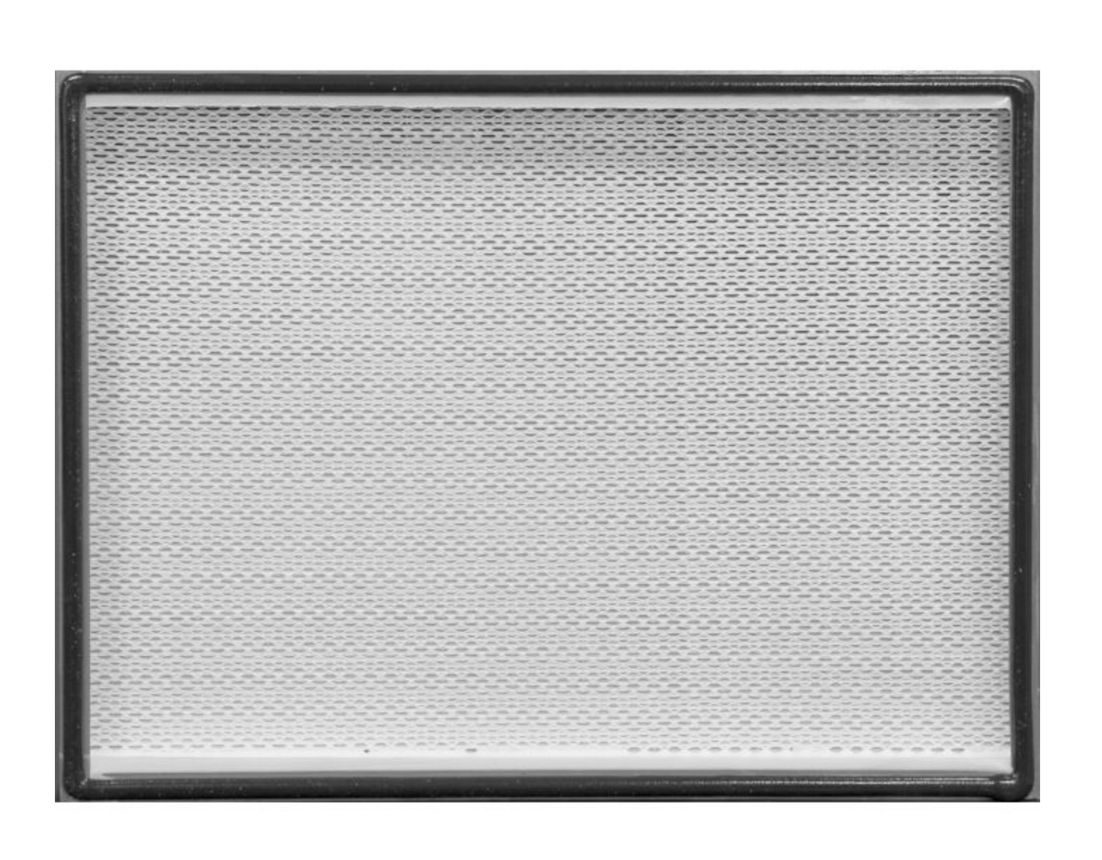 Abatement H2418-99 HEPA Filter for PAS2000 and PAS2400 ...